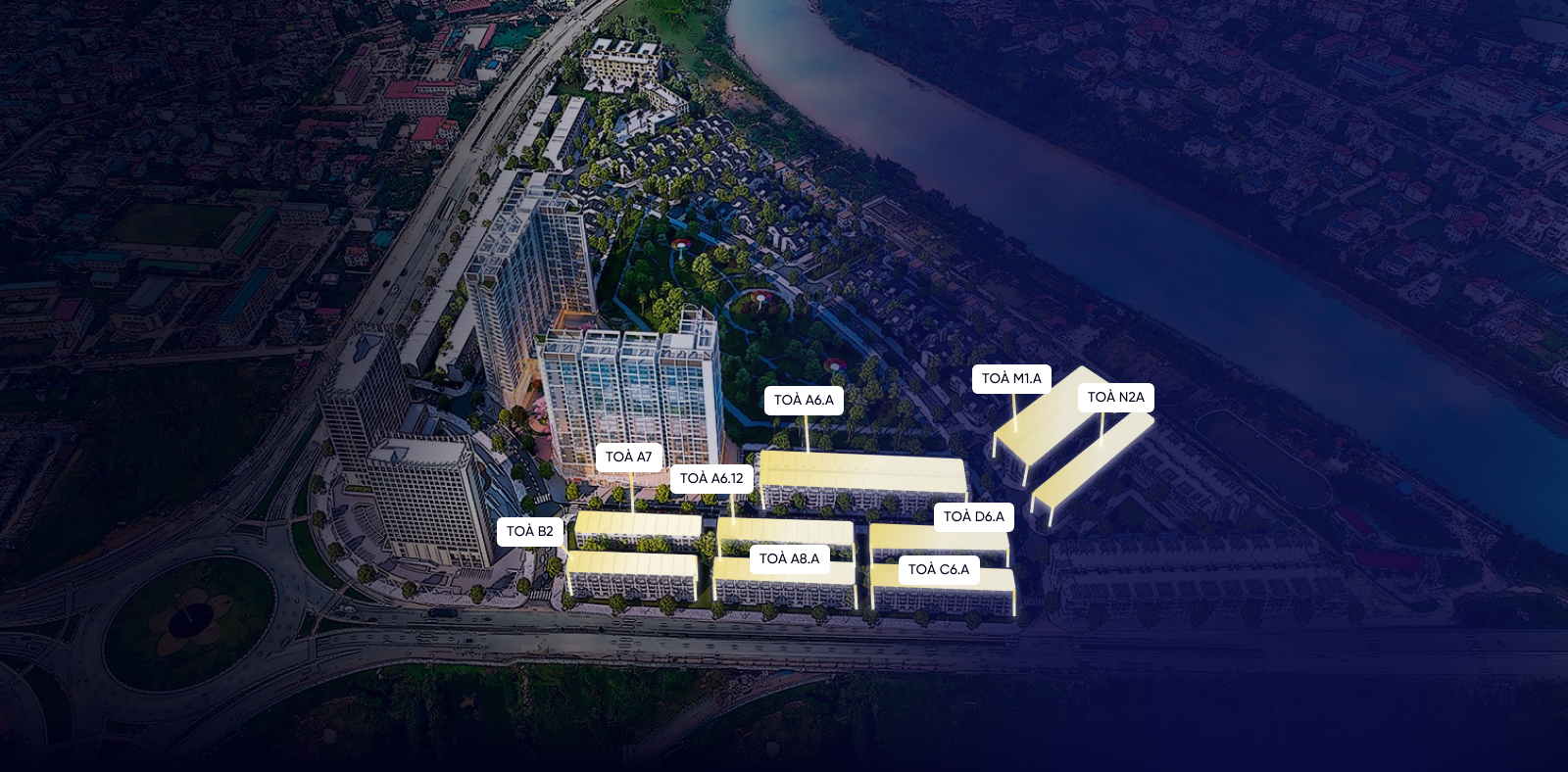 AVA Center - CÔNG TY TNHH D&B AMA